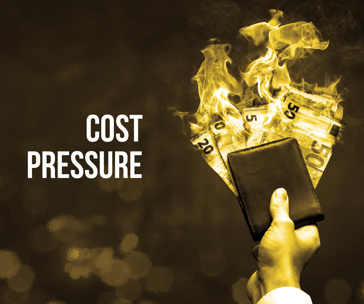 Cost pressure in IT - reasons & solution | DTS
